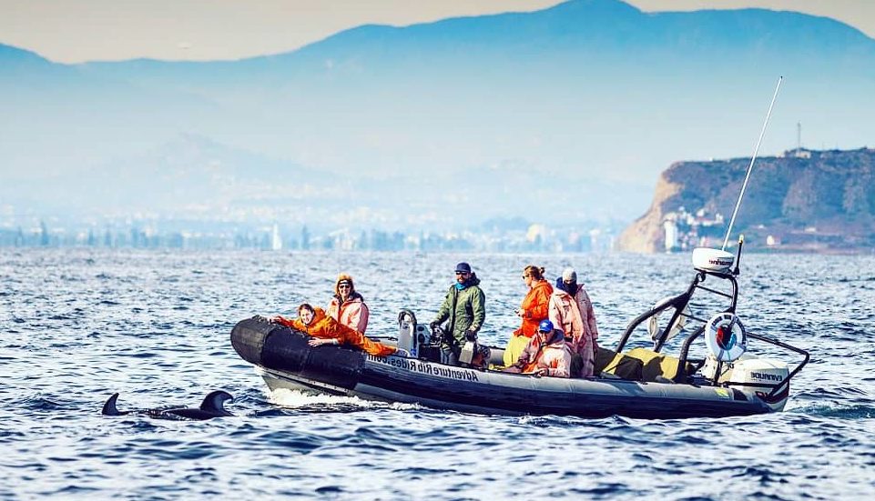 Bay Tours - Adventure Whale Watching San Diego Fun fast inflatable boats