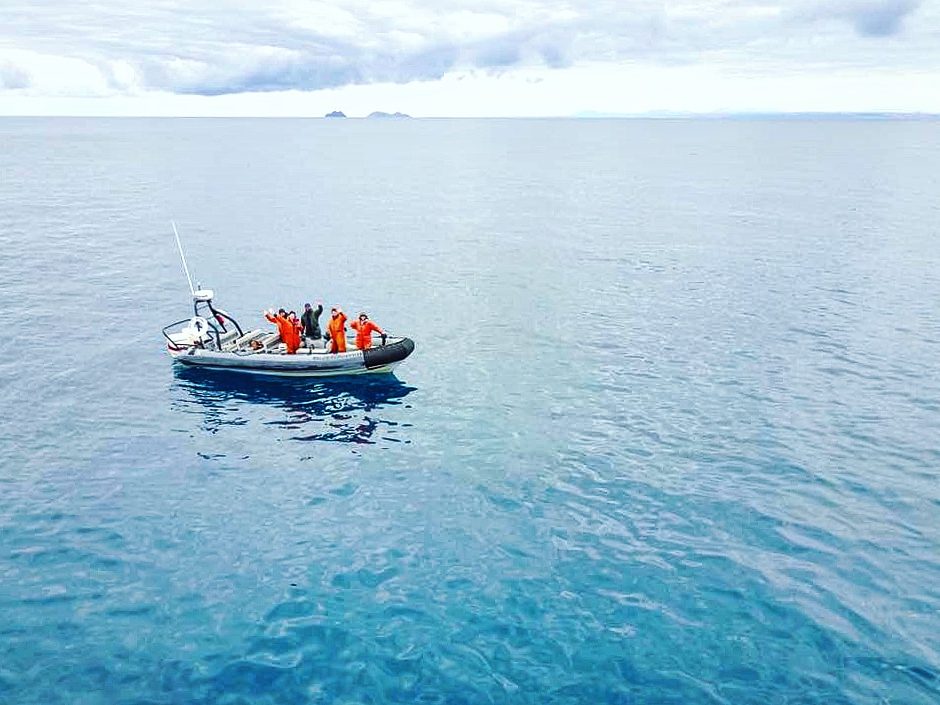 Contact - Adventure Whale Watching San Diego